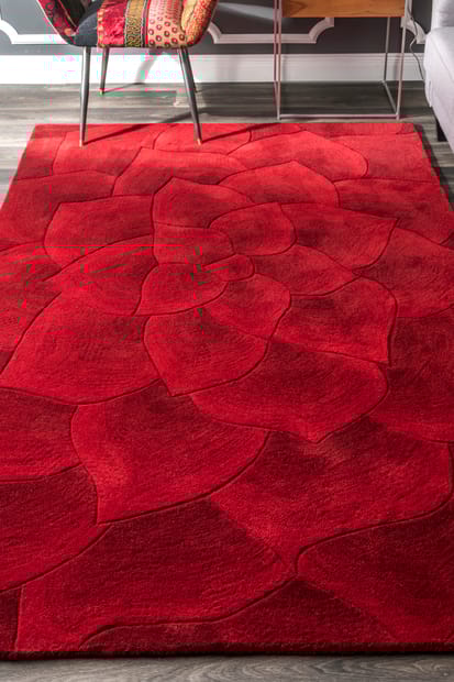 Area Rugs Pier One Canada | Bryont Blog